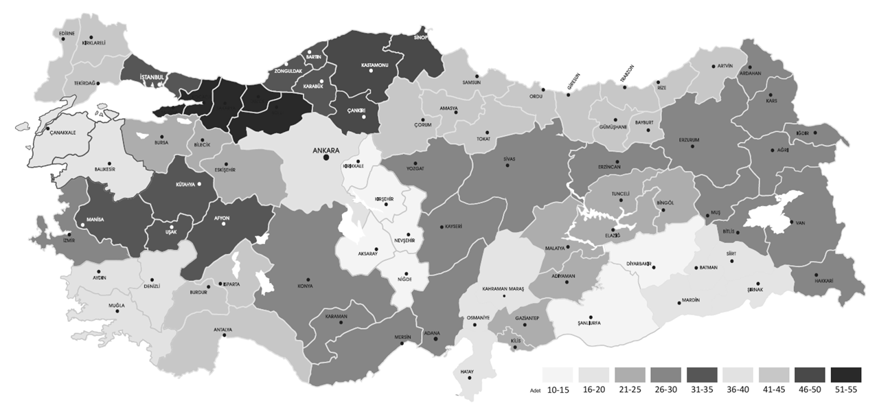 Kitap, kitap okumak, zekilik ve alimlik... - Reportare Ali Gizer yazdı...