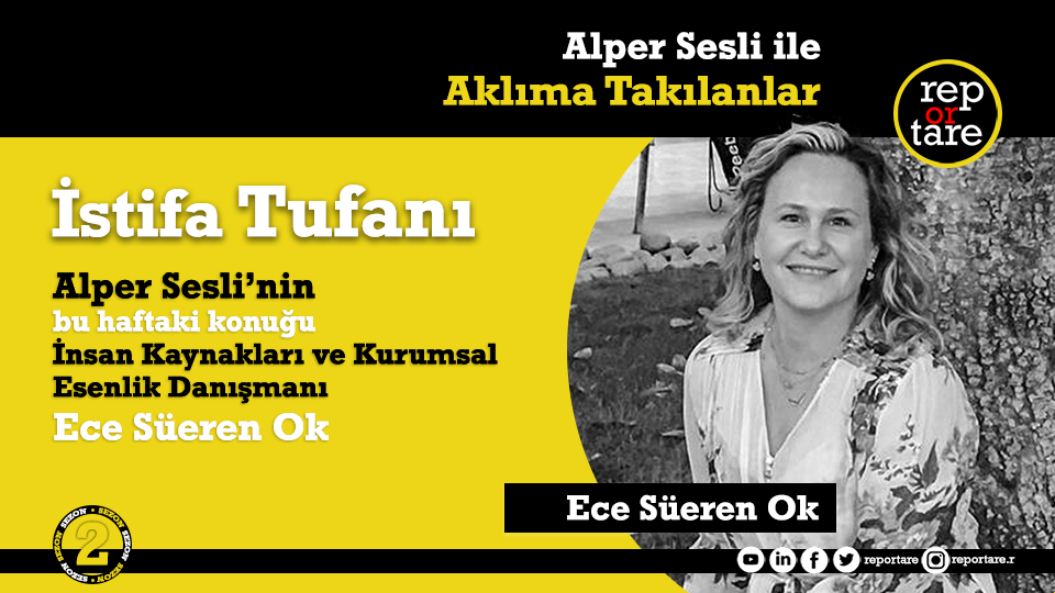 İstifa Tufanı - Reportare