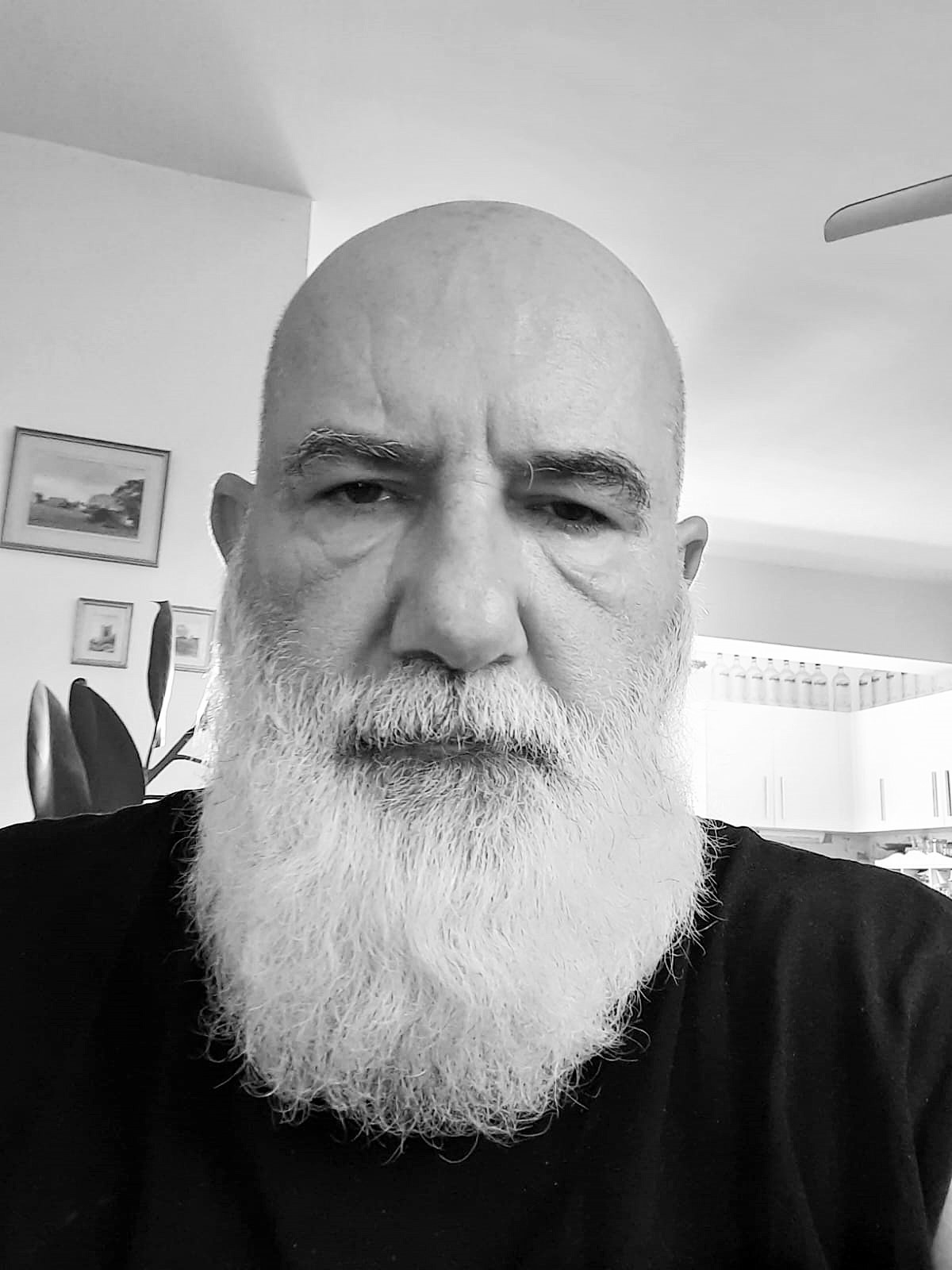 Ulvi Yaman, Author at Reportare